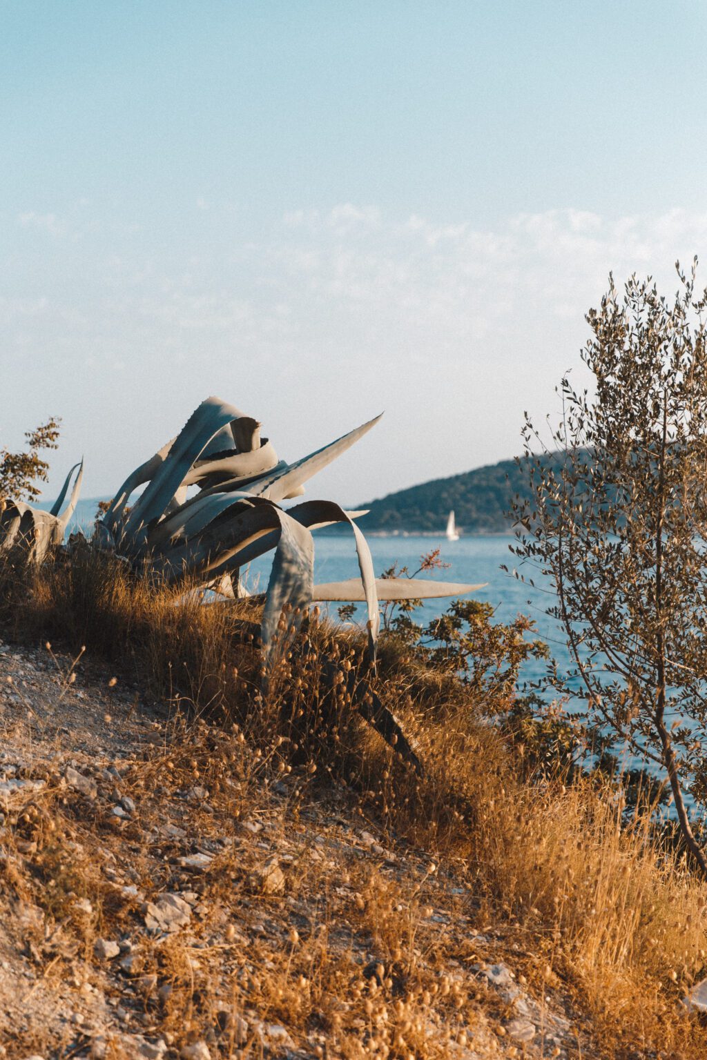 Brela - The official site of the Tourist Board Split-Dalmatia County