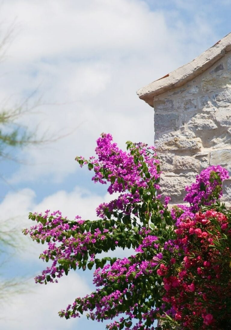 Podstrana - The official site of the Tourist Board Split-Dalmatia County