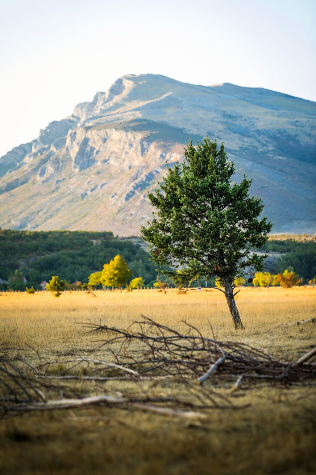 Pučišća - The official site of the Tourist Board Split-Dalmatia County