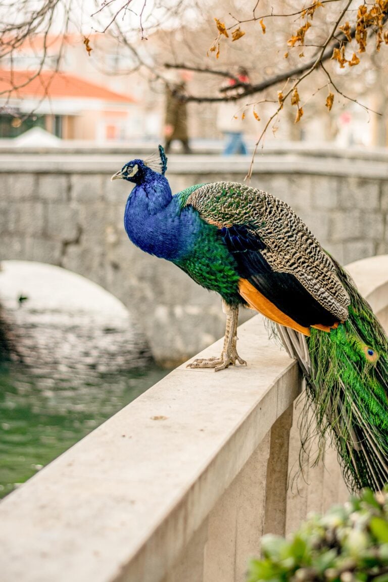 Solin - The official site of the Tourist Board Split-Dalmatia County