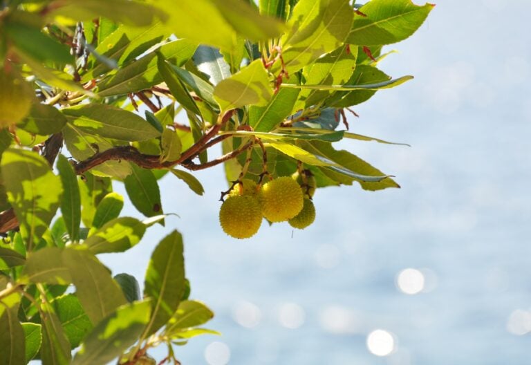 Solin - The official site of the Tourist Board Split-Dalmatia County