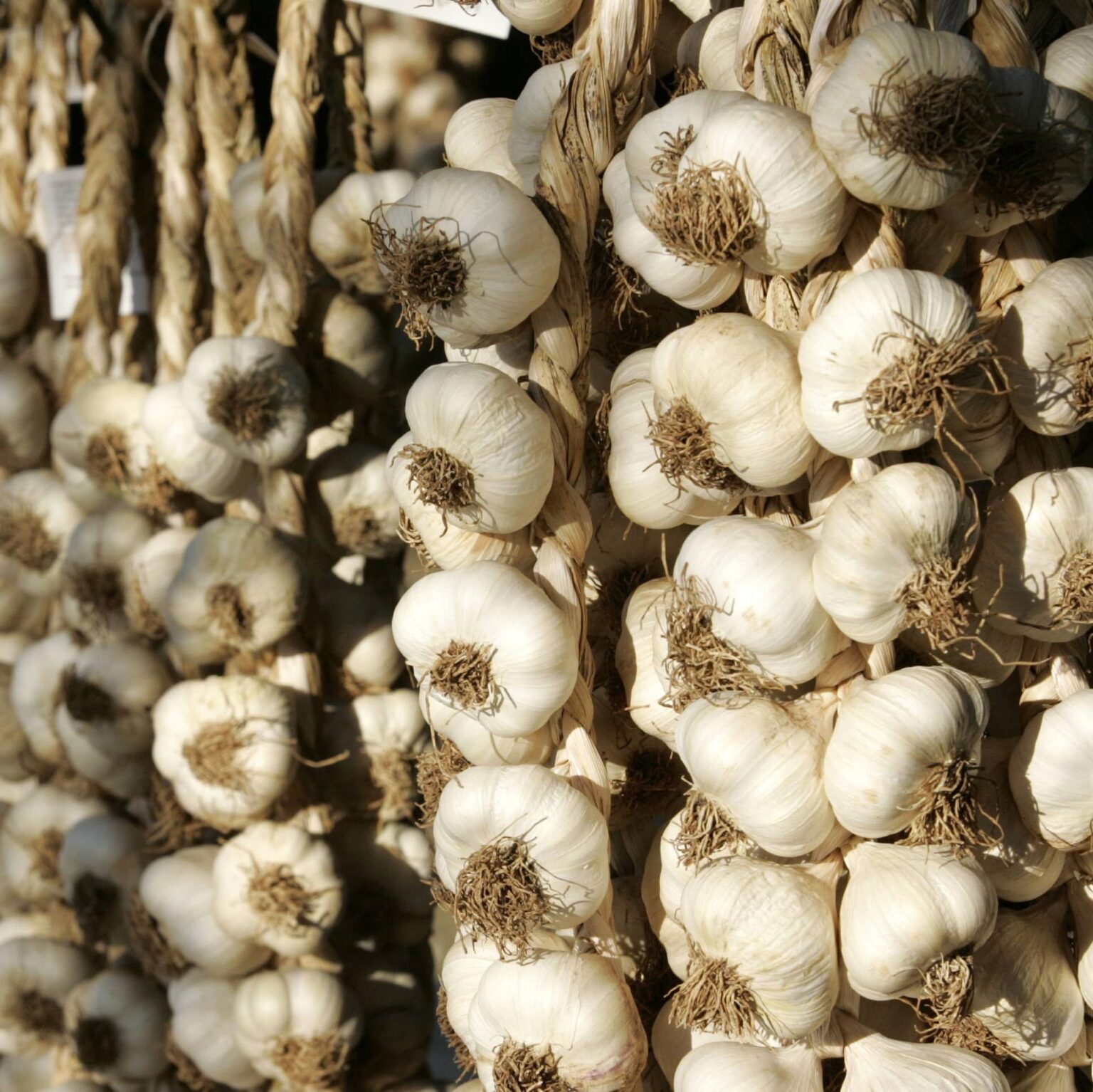 Seget - The official site of the Tourist Board Split-Dalmatia County