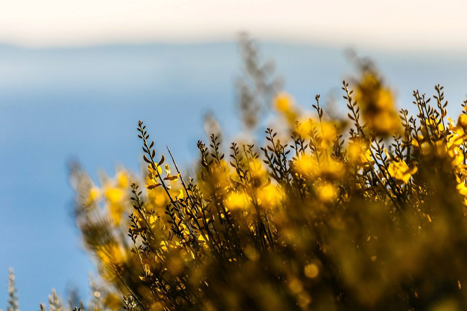 Dugi Rat - The official site of the Tourist Board Split-Dalmatia County