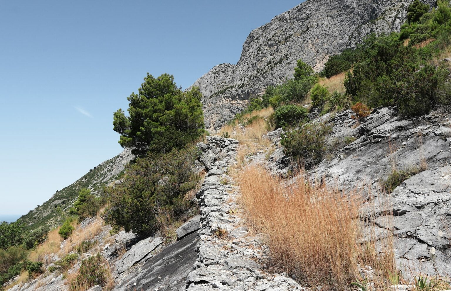 Gradac - The official site of the Tourist Board Split-Dalmatia County