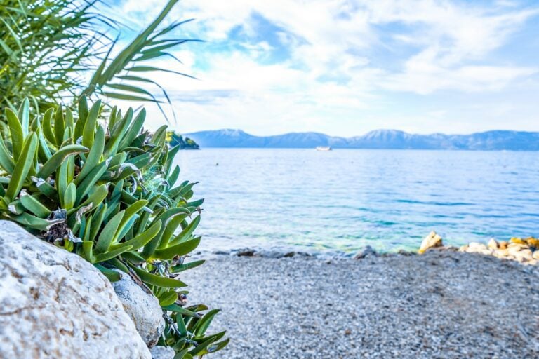 Gradac - The official site of the Tourist Board Split-Dalmatia County