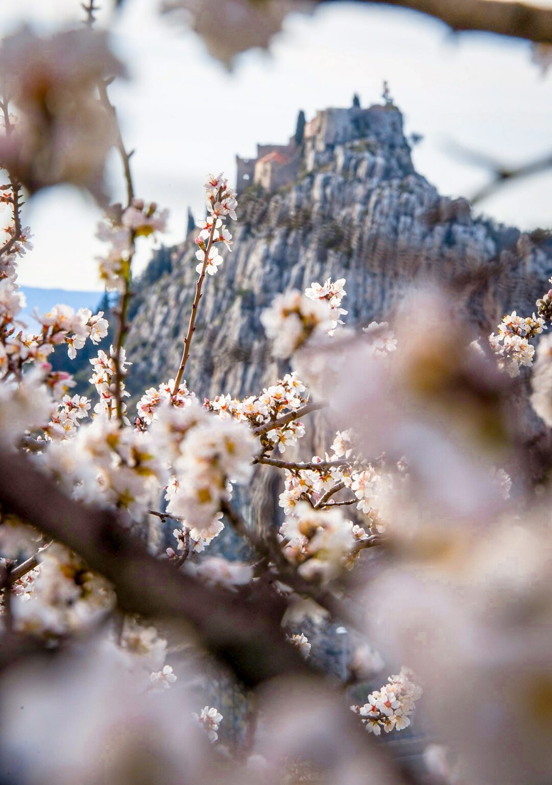 Klis - The official site of the Tourist Board Split-Dalmatia County