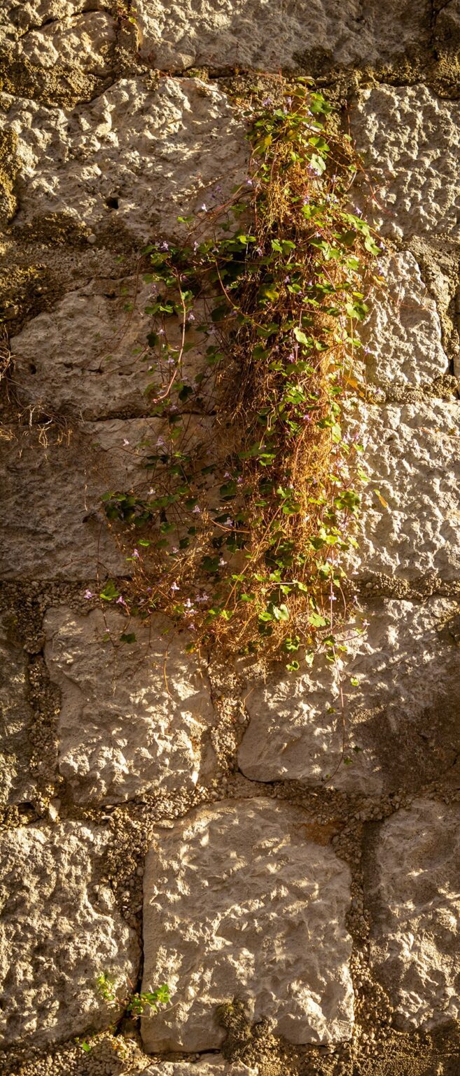 Milna - The official site of the Tourist Board Split-Dalmatia County