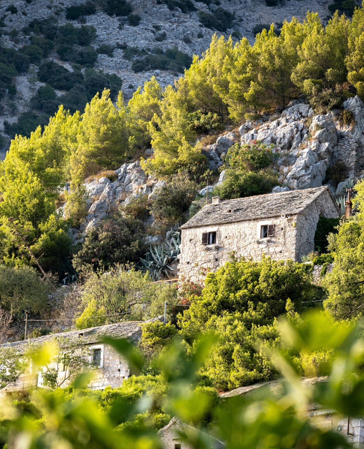 Pučišća - The official site of the Tourist Board Split-Dalmatia County