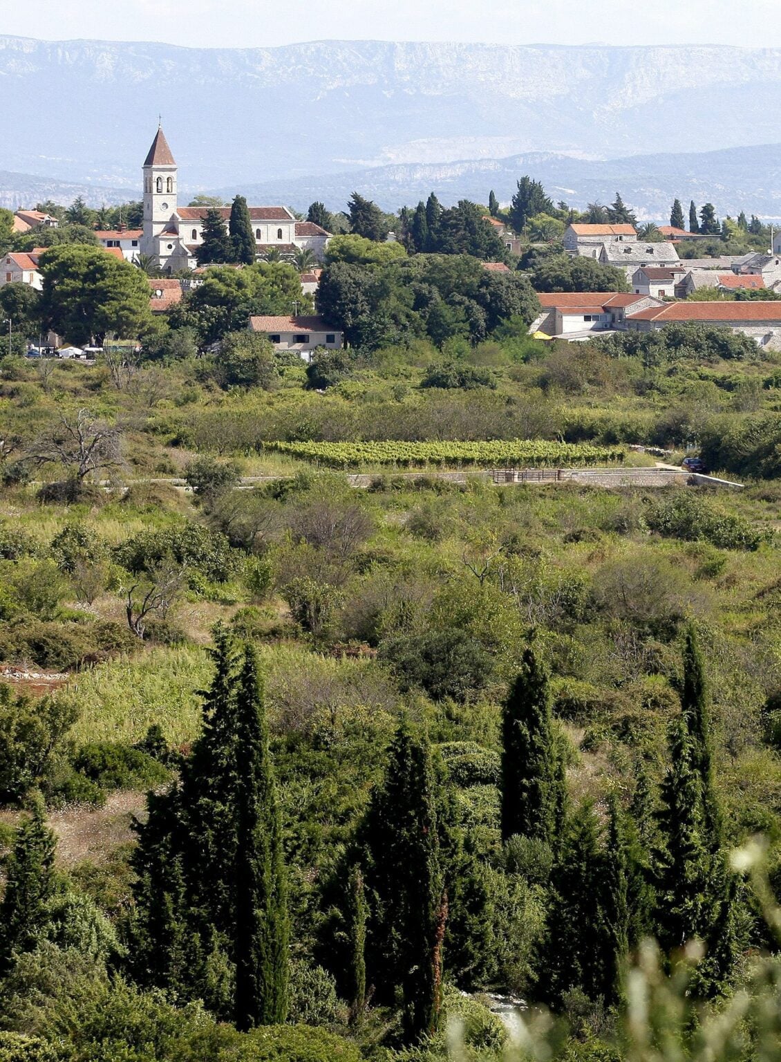 Šolta - The official site of the Tourist Board Split-Dalmatia County