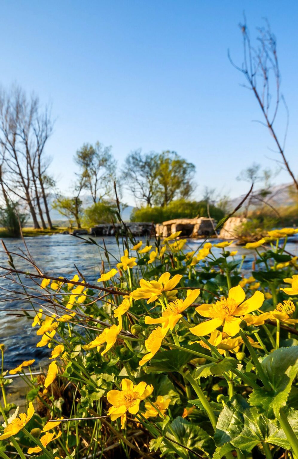 Vrlika - The official site of the Tourist Board Split-Dalmatia County