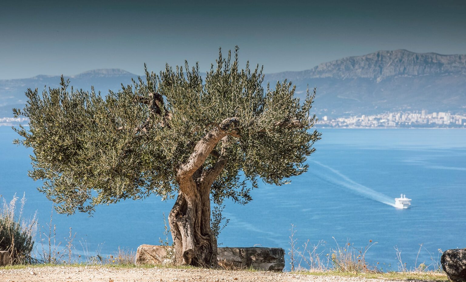 Bol - The official site of the Tourist Board Split-Dalmatia County