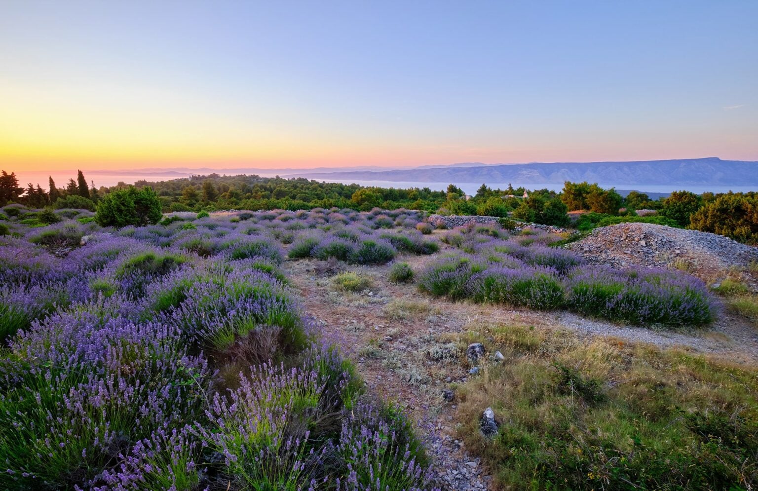 Hvar - The official site of the Tourist Board Split-Dalmatia County